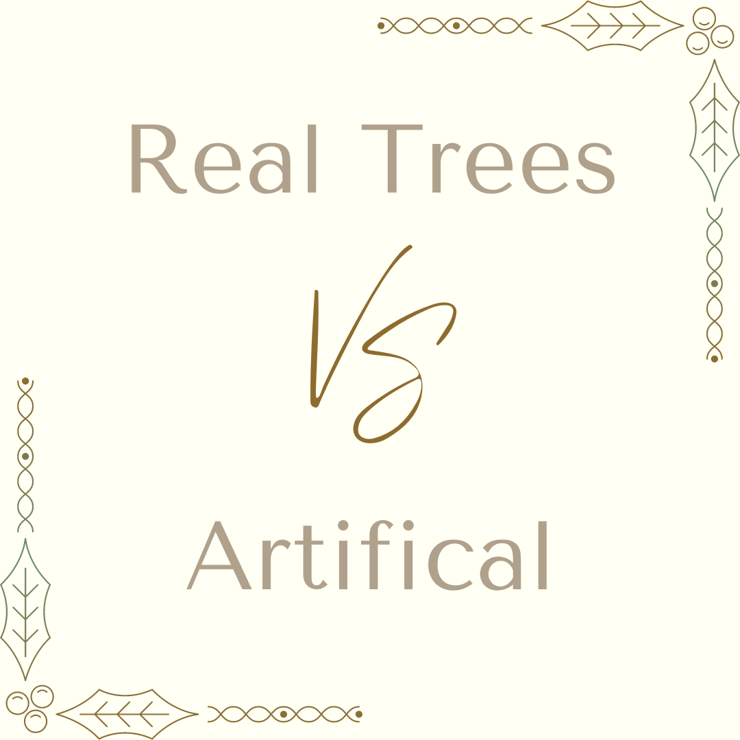 Why a Real Christmas Tree is the Coolest Choice 🎄🌟 – Rainfords Farm Ltd