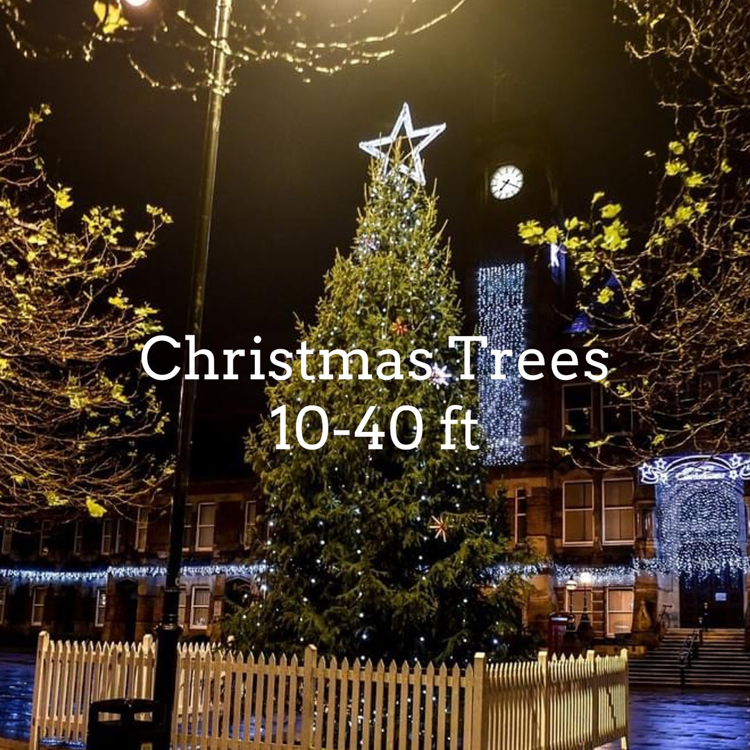 Rainfords Farm | Christmas Trees, Pumpkin Picking & Logs | St Helens ...