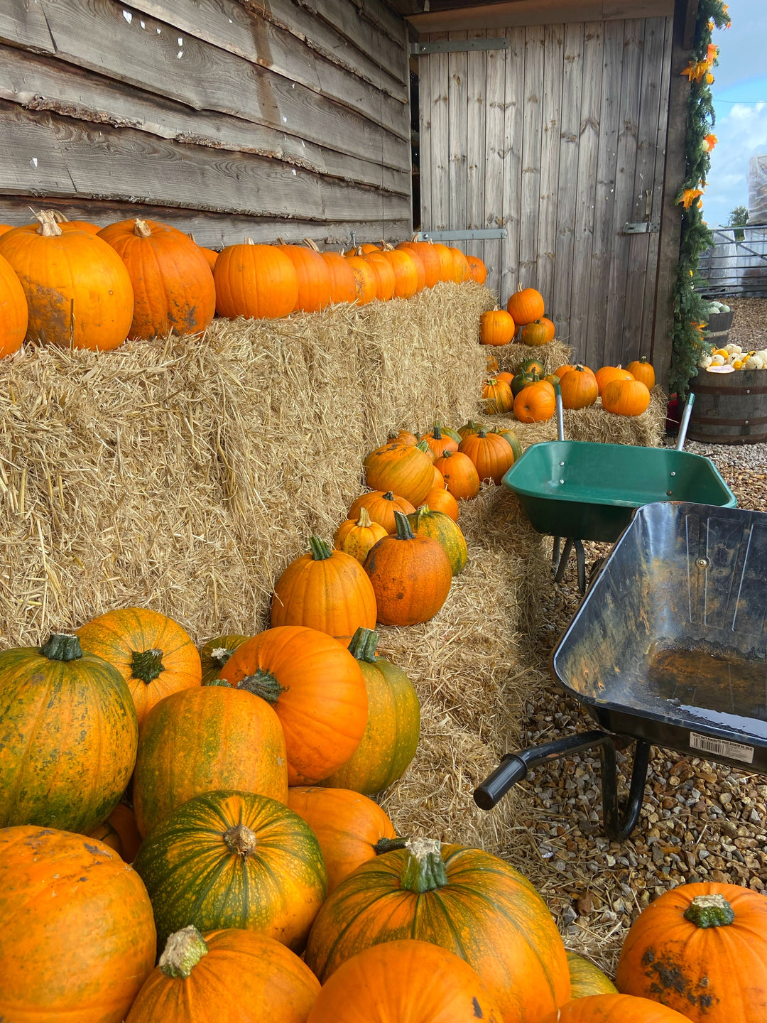 Pumpkin Picking St Helens | Events, Carving & Whodunnit Trail ...