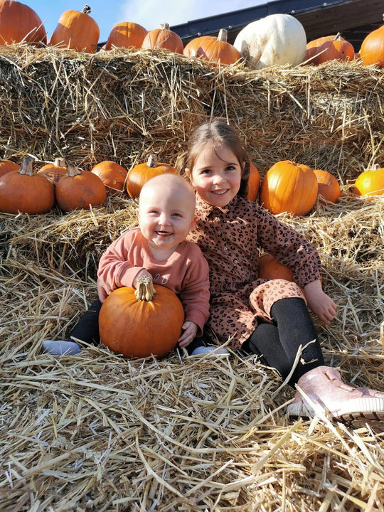 Pumpkins – Rainfords Farm Ltd