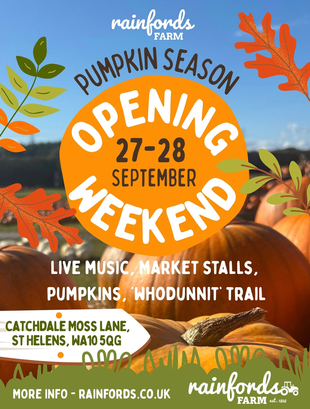 Pumpkins – Rainfords Farm Ltd